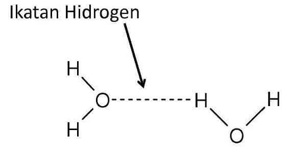 Ikatan Hidrogen Gaya Antarmolekul Ikatan Hidrogen Ikatan Kimia Molekul