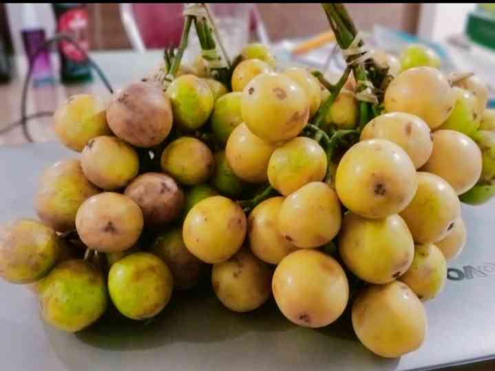 Nostalgia Buah Lokal Indonesia Halaman 1