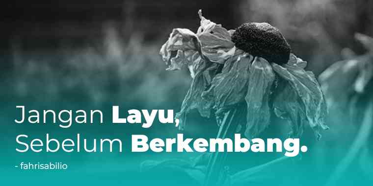 Jangan Layu sebelum Berkembang - Kompasiana.com Jangan Layu sebelum Berkembang - Kompasiana.com